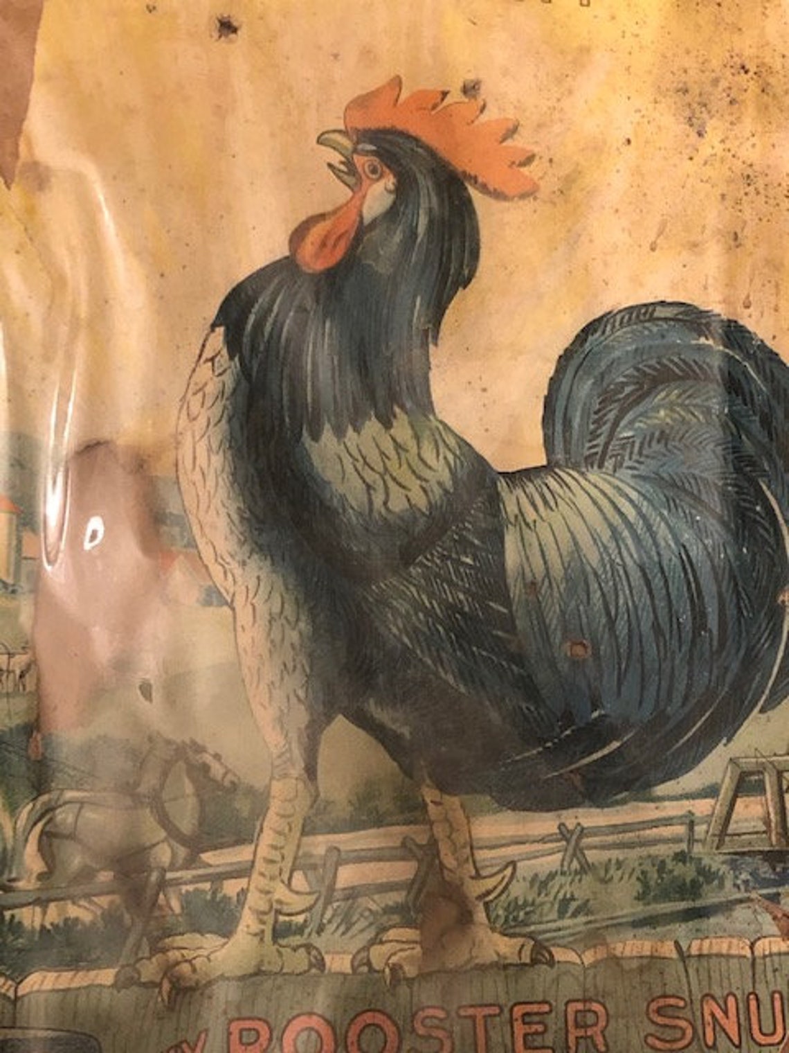 Rooster Snuff Antique 1925 Calendar Encased in Plastic Cover - Etsy