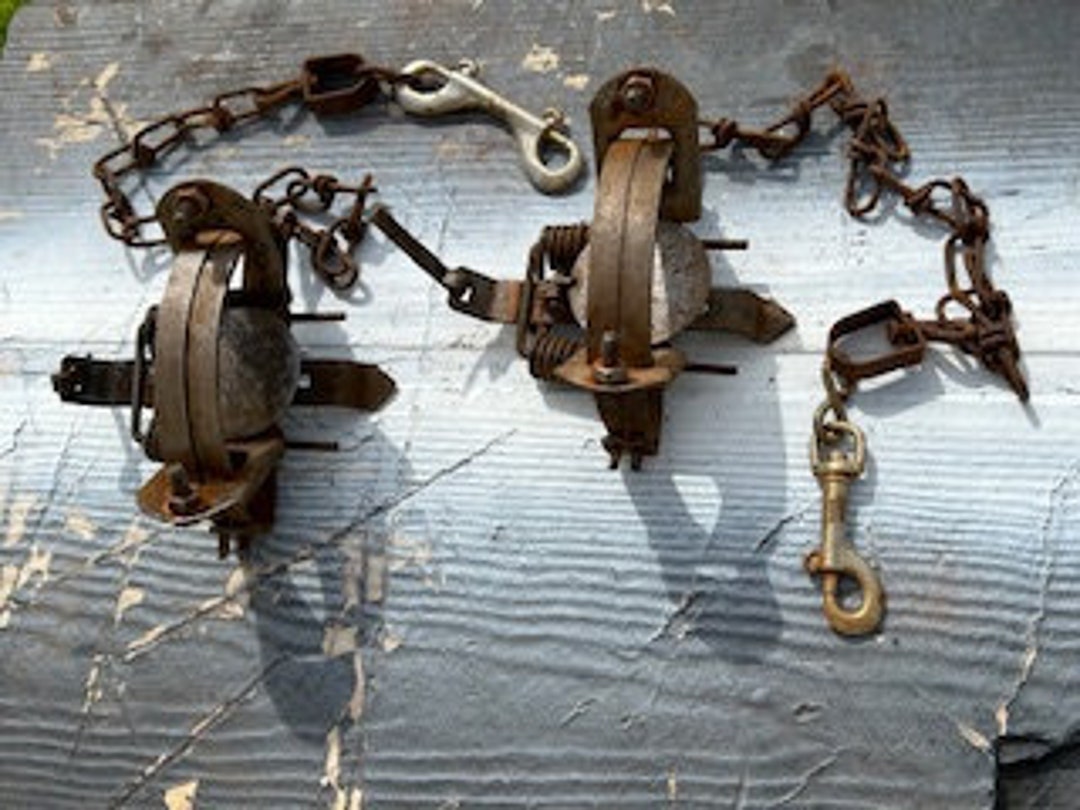 Vintage DUKE West Point Set of "2" Animal Traps- Pair of Standard Size ...