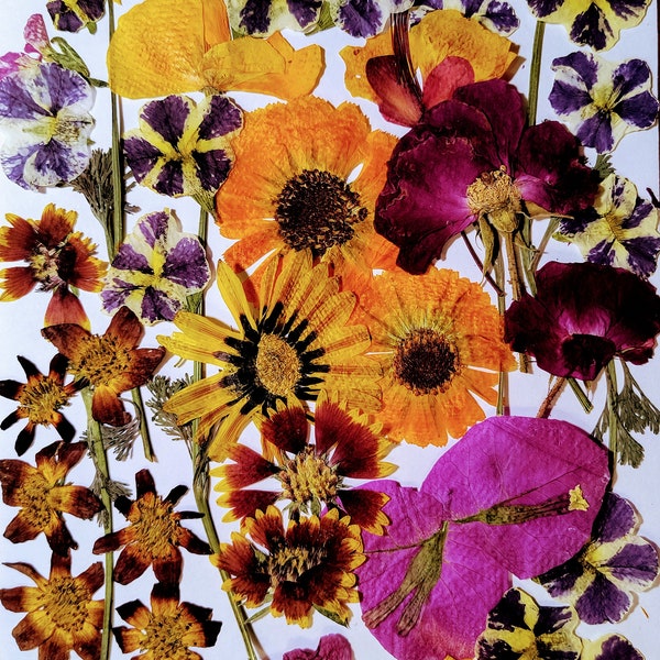 Pressed Flower Kit - Etsy