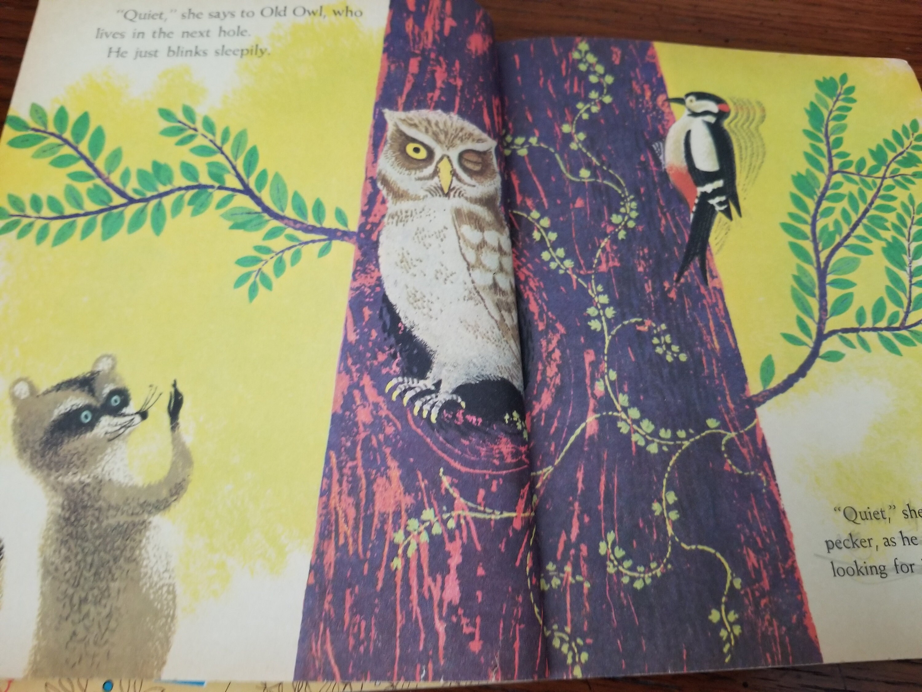 Vintage 1961 Littlest Raccoon by Peggy Parish and Pictures by Claude ...