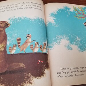 Vintage 1961 Littlest Raccoon by Peggy Parish and Pictures by Claude ...