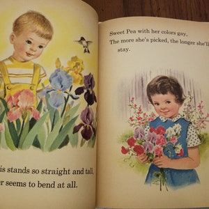 My Flower Book by Dorothy Thompson Landis and Illustrated by Elizabeth ...