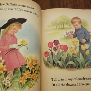 My Flower Book by Dorothy Thompson Landis and Illustrated by Elizabeth ...