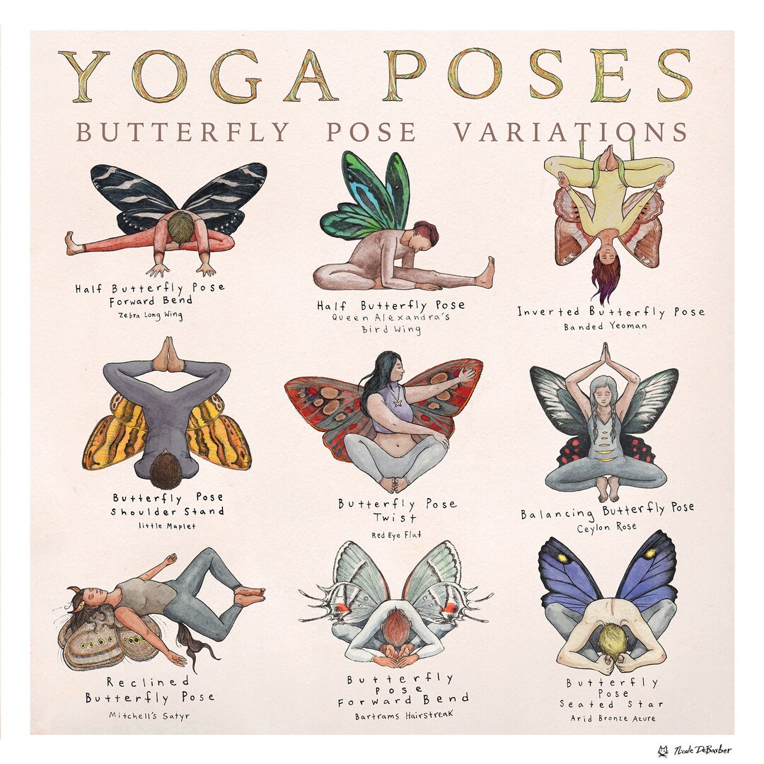 Butterfly Pose Variations Poster - Etsy