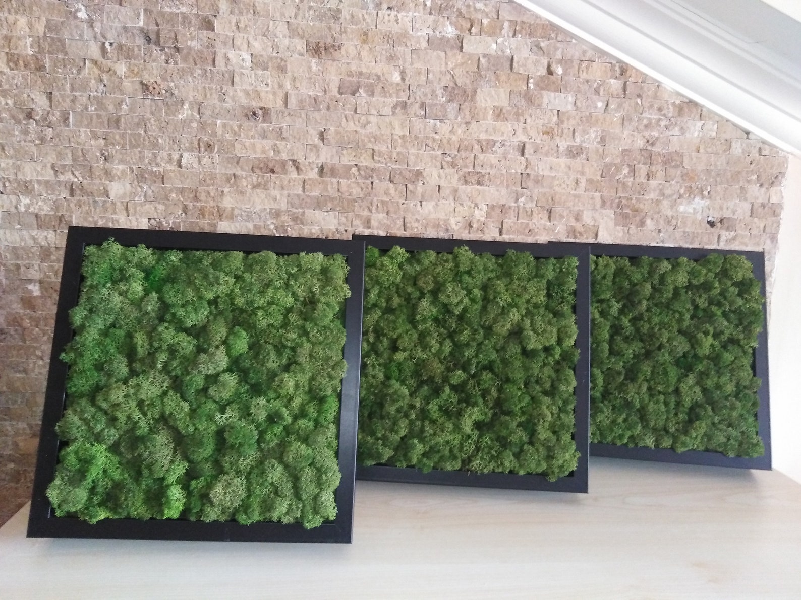 Moss Frame Wall Decorlichen Frame Moss Wall Decor Moss Art - Etsy