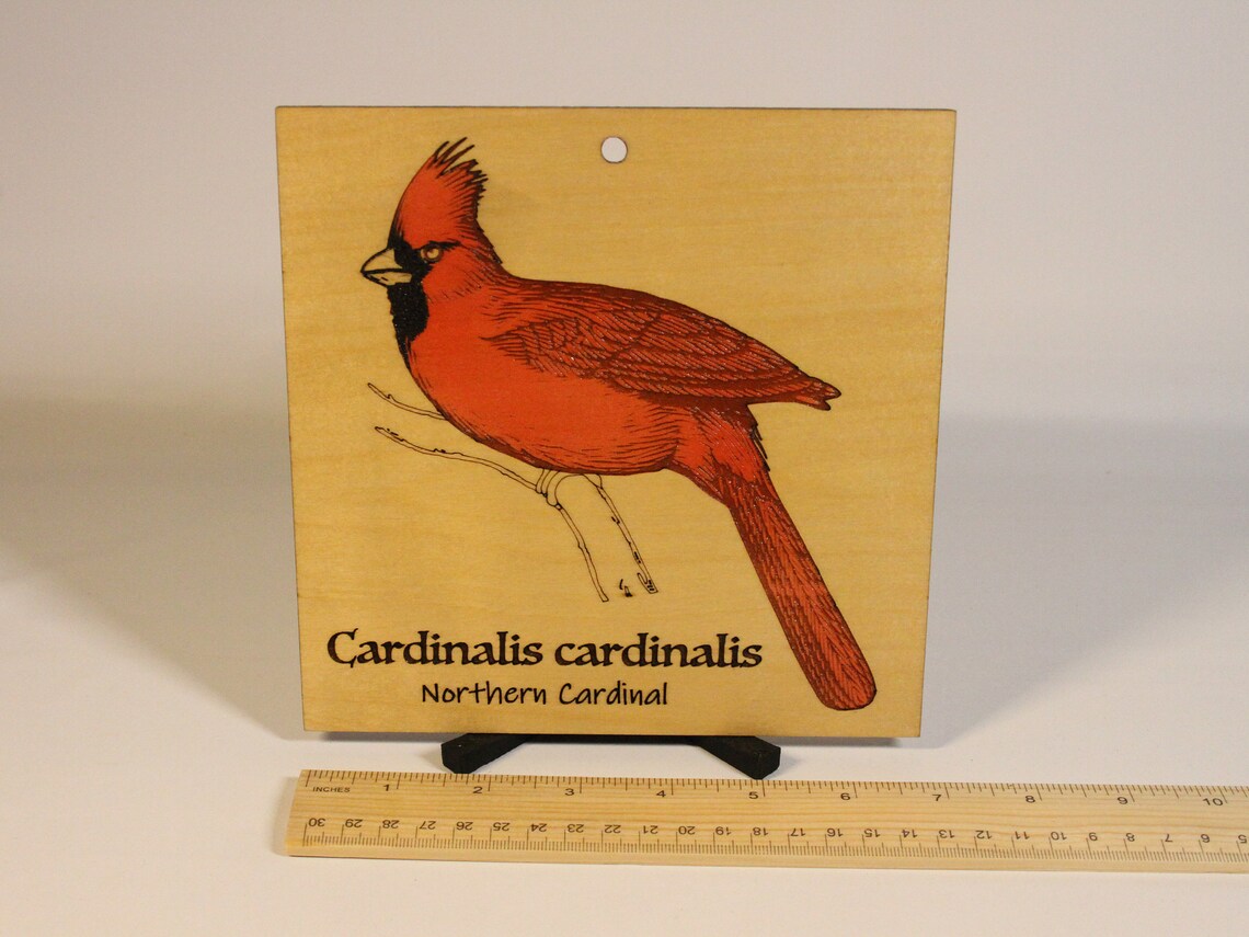 Cardinal Bird Sign | Etsy
