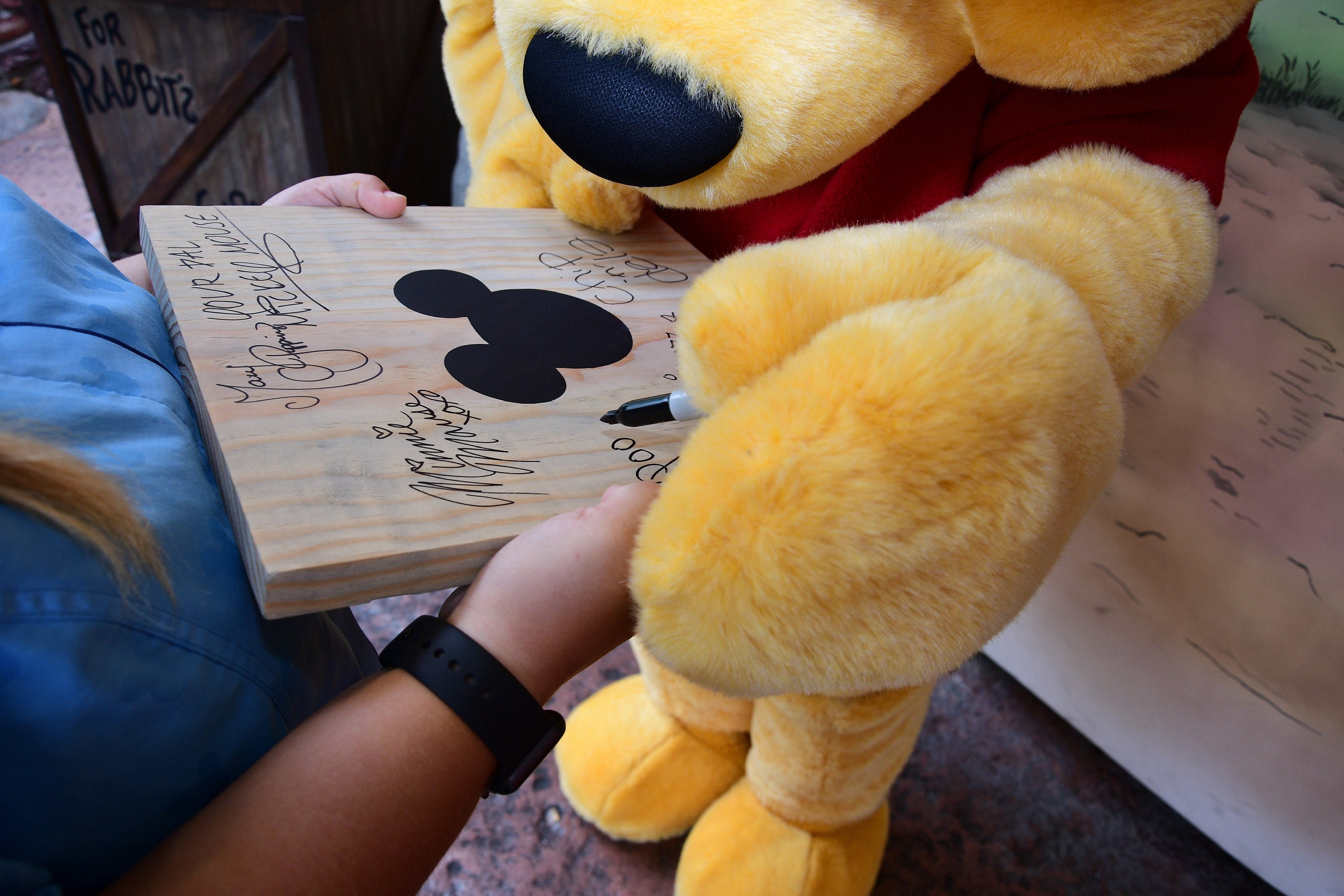 Disney Autograph Sign, Character Sign, Character Signature Board ...