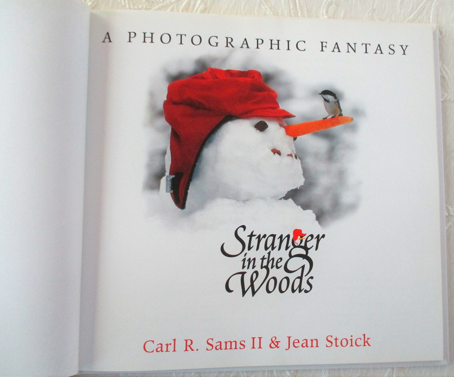 Stranger in the Woods A Photographic Fantasy Hardcover Book , Forest ...