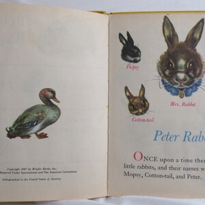 Peter Rabbit and Other Stories Wonder Book 1947, Flopsy Mopsy Cotton ...