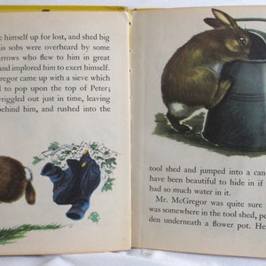 Peter Rabbit and Other Stories Wonder Book 1947, Flopsy Mopsy Cotton ...