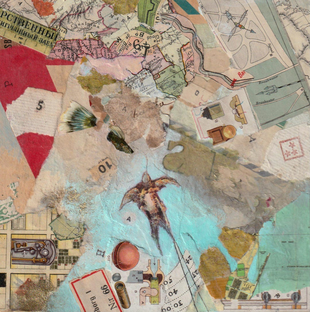 BIRDMAN POLEWALKER Collage 6" X 6" - Etsy