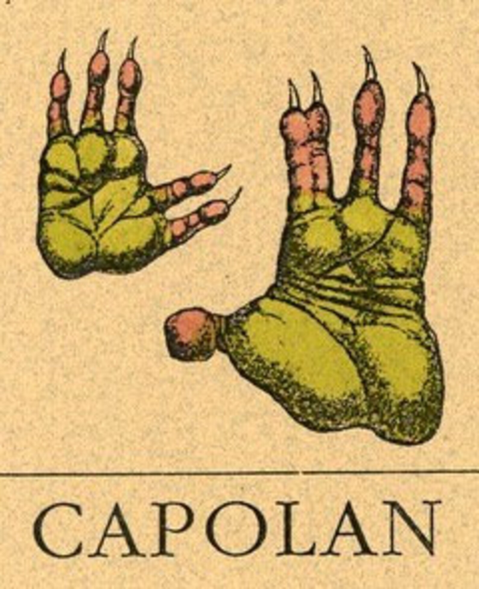 CAPOLAN STAMP Koala Hands - Etsy