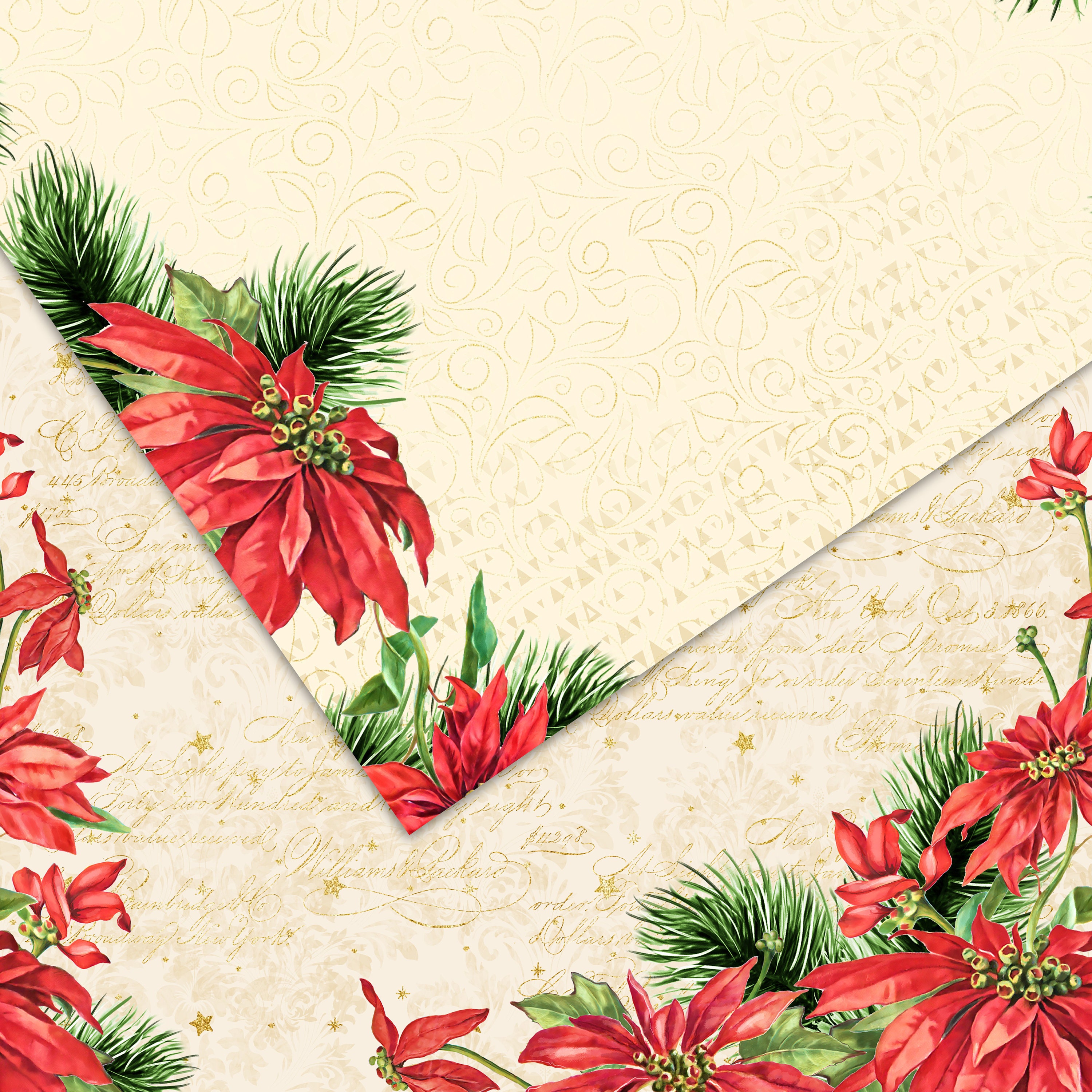 Christmas Digital Papers, Christmas Poinsettia, Christmas Flowers ...