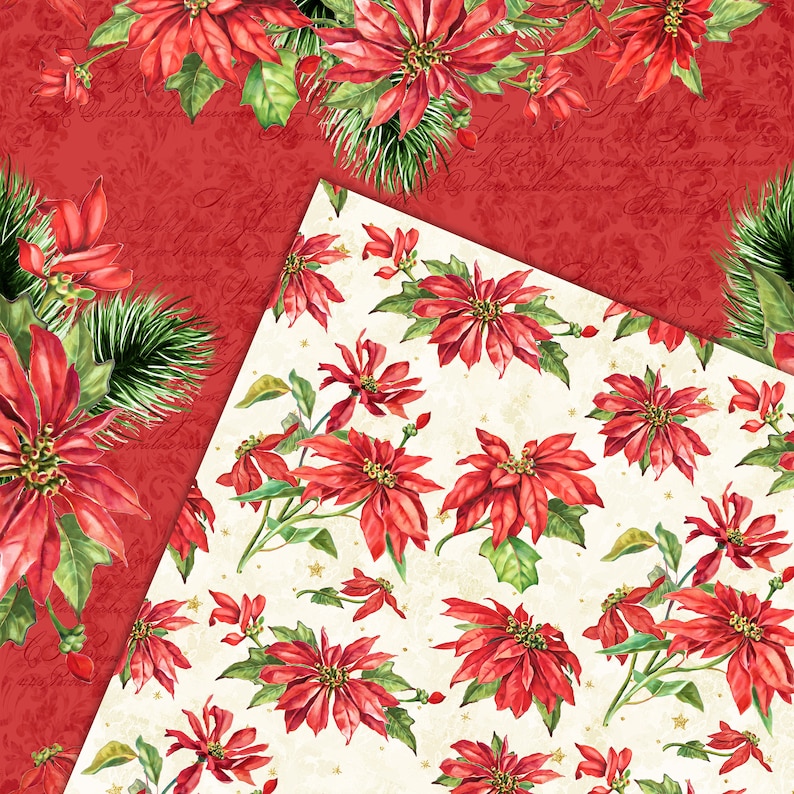Christmas Digital Papers, Christmas Poinsettia, Christmas Flowers ...