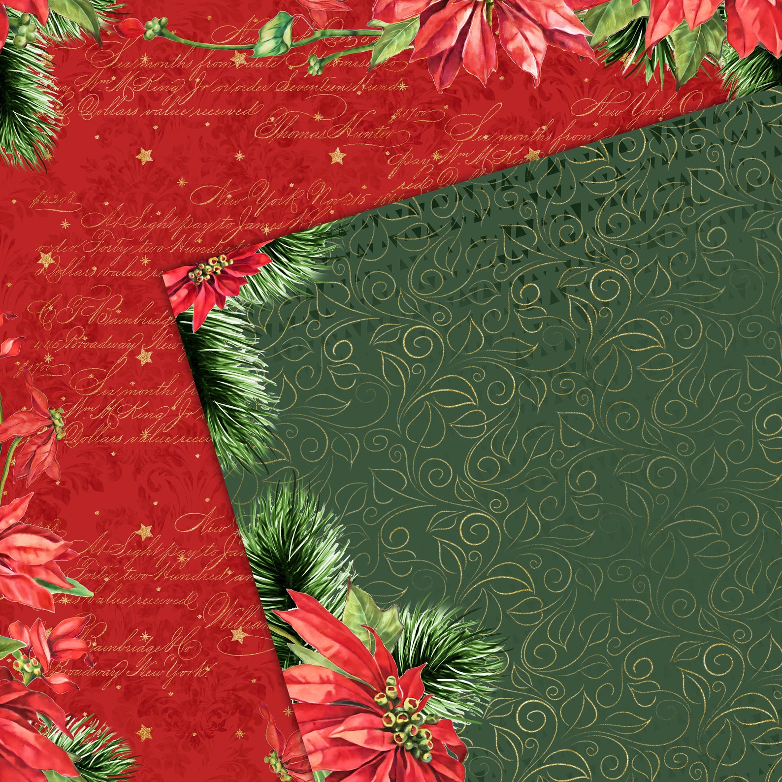 Christmas Digital Papers, Christmas Poinsettia, Christmas Flowers ...