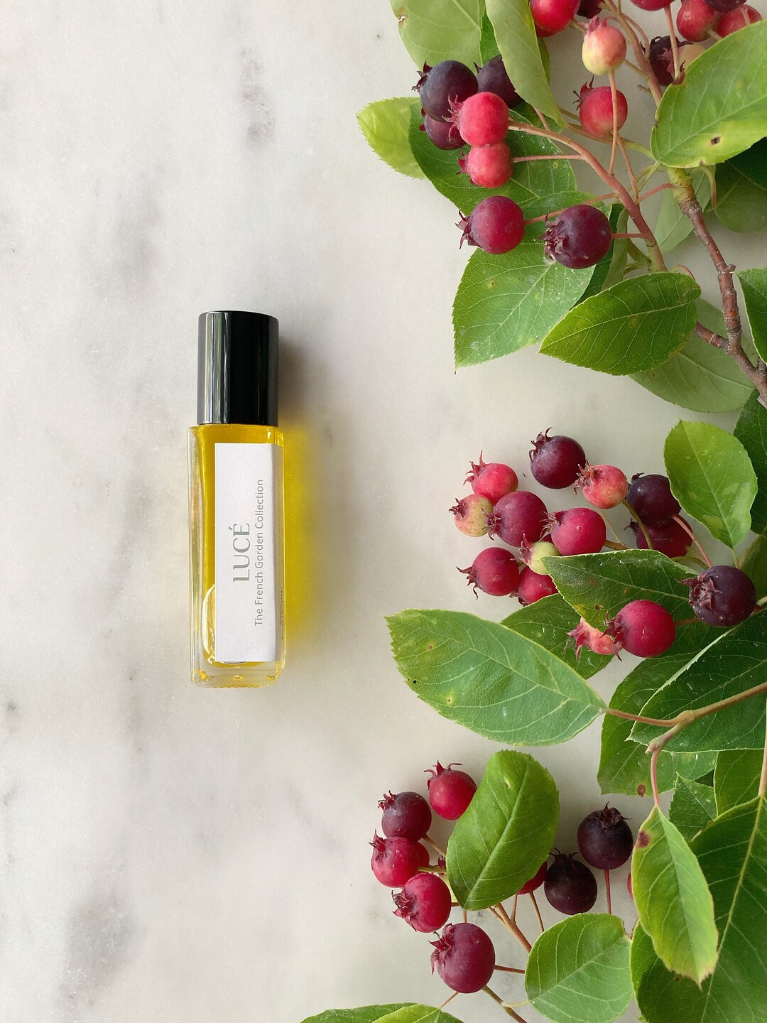 Lucé Perfume Oil Bois De Siam, Blood Orange, Bay Rum Natural, Botanical ...