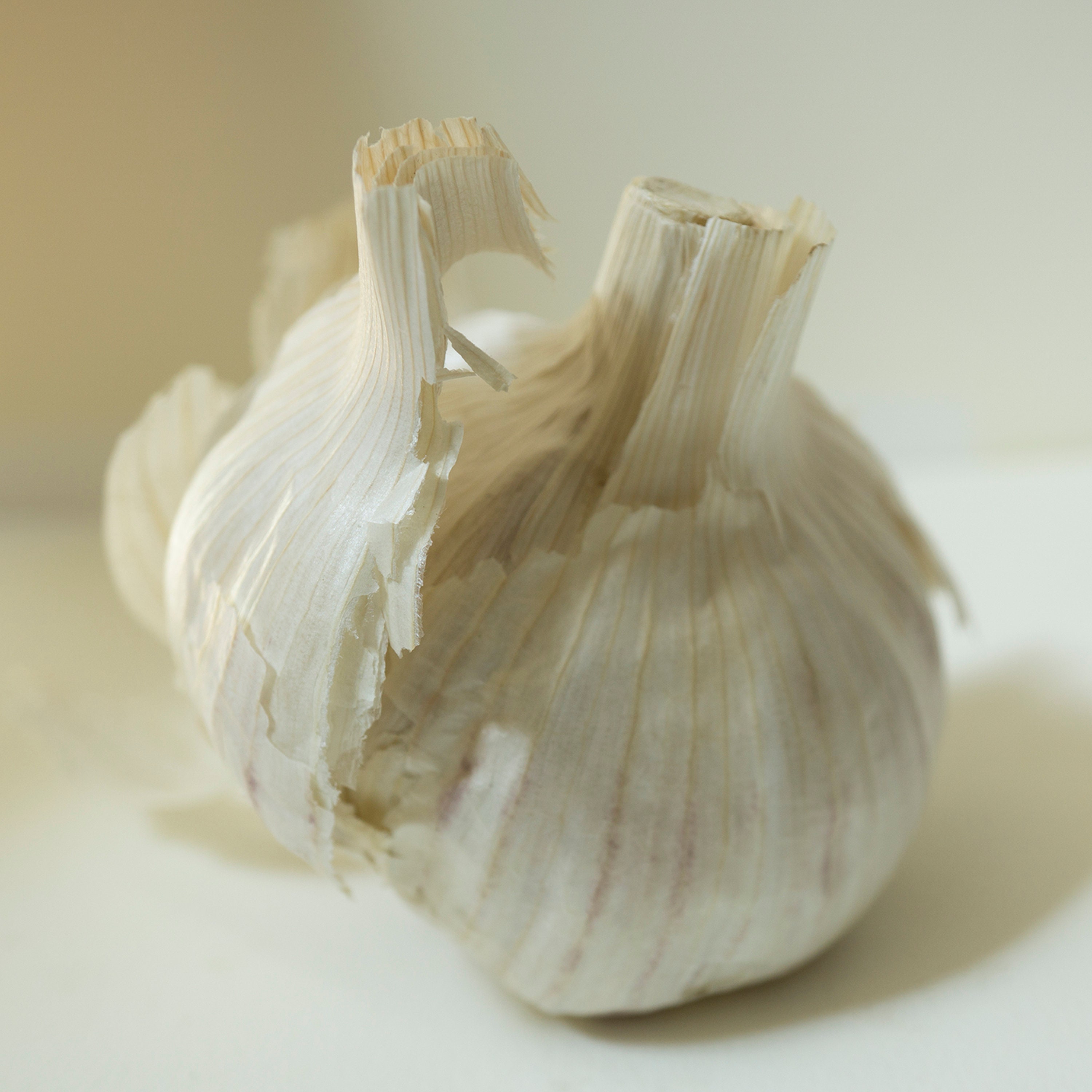 Garlic Fine Art Photograph, Kitchen Art, Garlic Photo, Food Art, Rustic ...