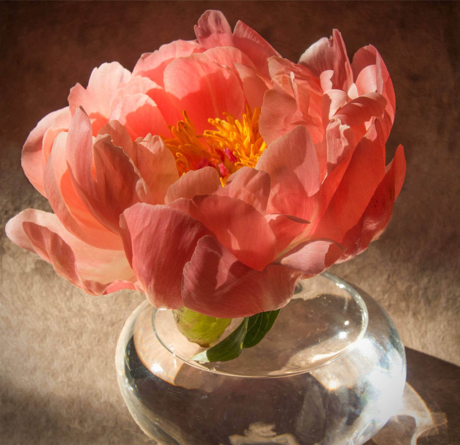 Peach Peony in Vase Photograph, Peony Photo, Dark Orange Peony, Close ...