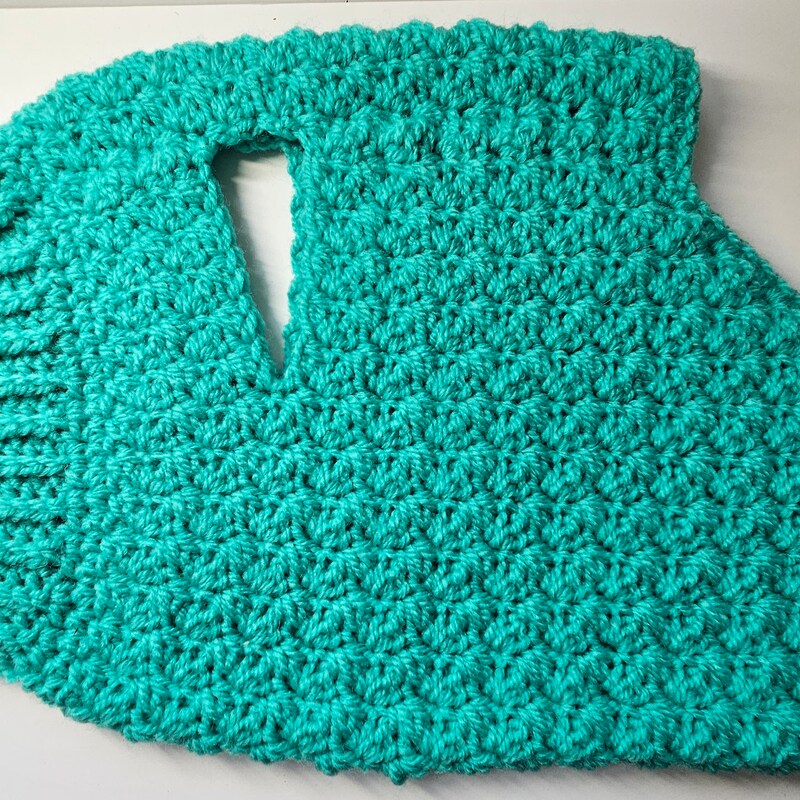 Dog Coat Turquoise - Etsy UK