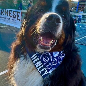 Penn State Dog Bandana: Personalized PSU Design - Etsy