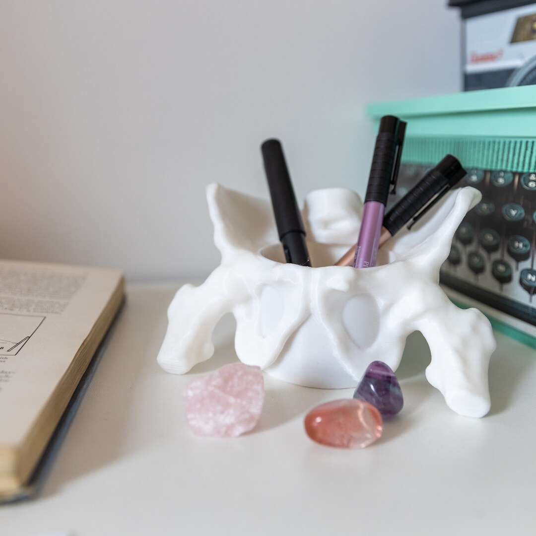 Hip Hip Hooray Pelvis Pot - Human Bones - Planter - - Etsy