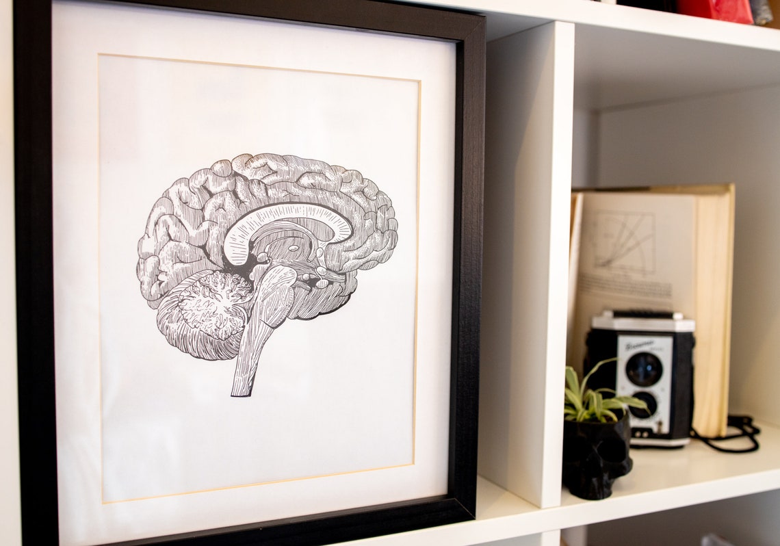 A4 Anatomical Brain Art Print - Etsy