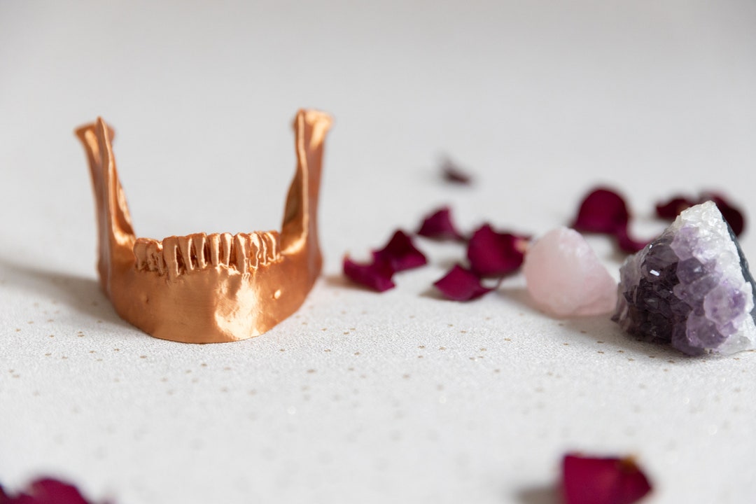 Bronze Jaw Bone Stand - Business Card, Phone and E-reader Holder ...