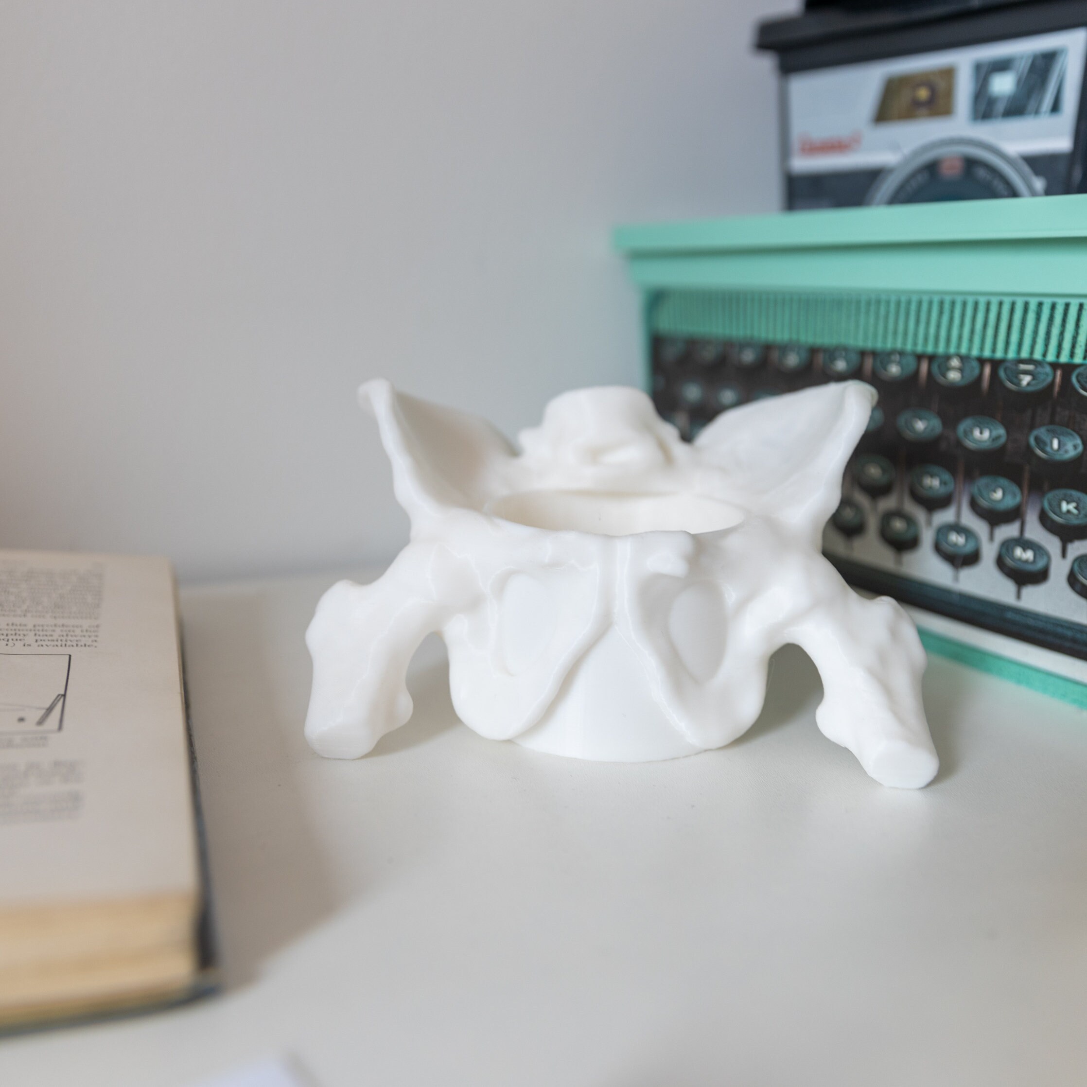 Hip Hip Hooray Pelvis Pot Human Bones Planter | Etsy