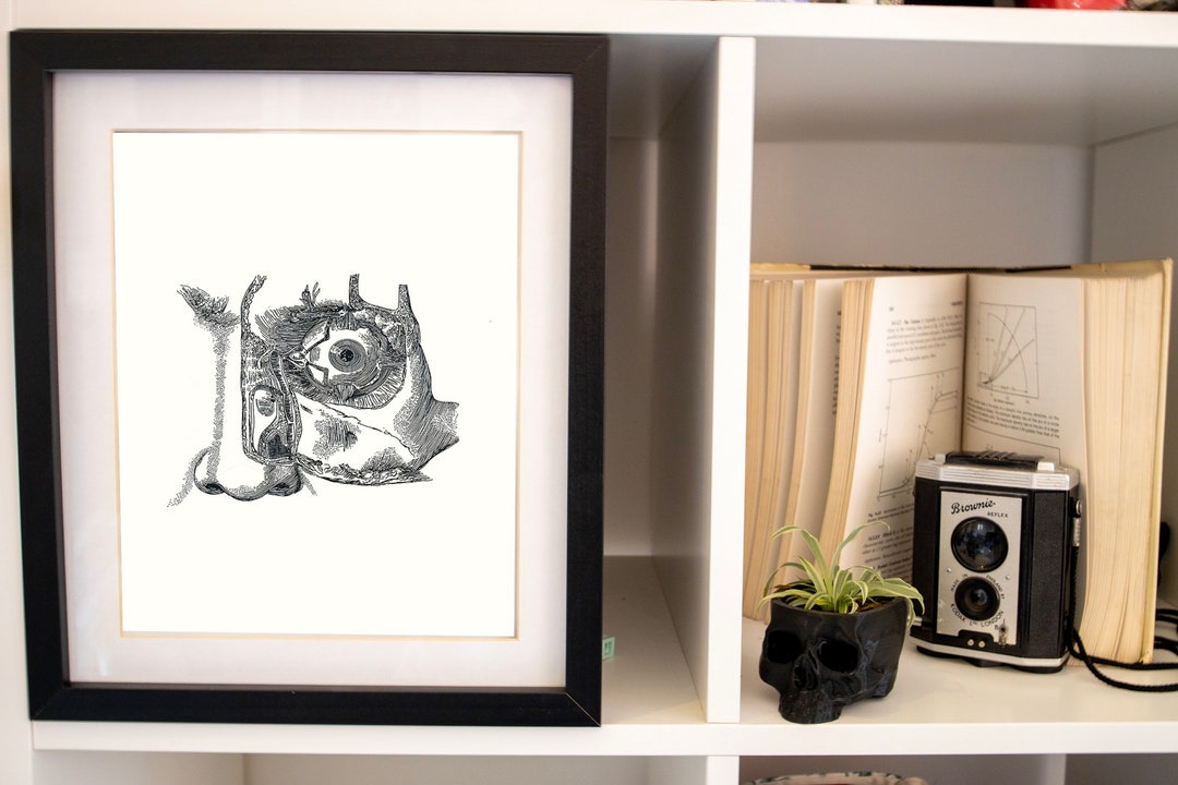 A4 Anatomical Face Dissection With Eye Art Print - Etsy UK