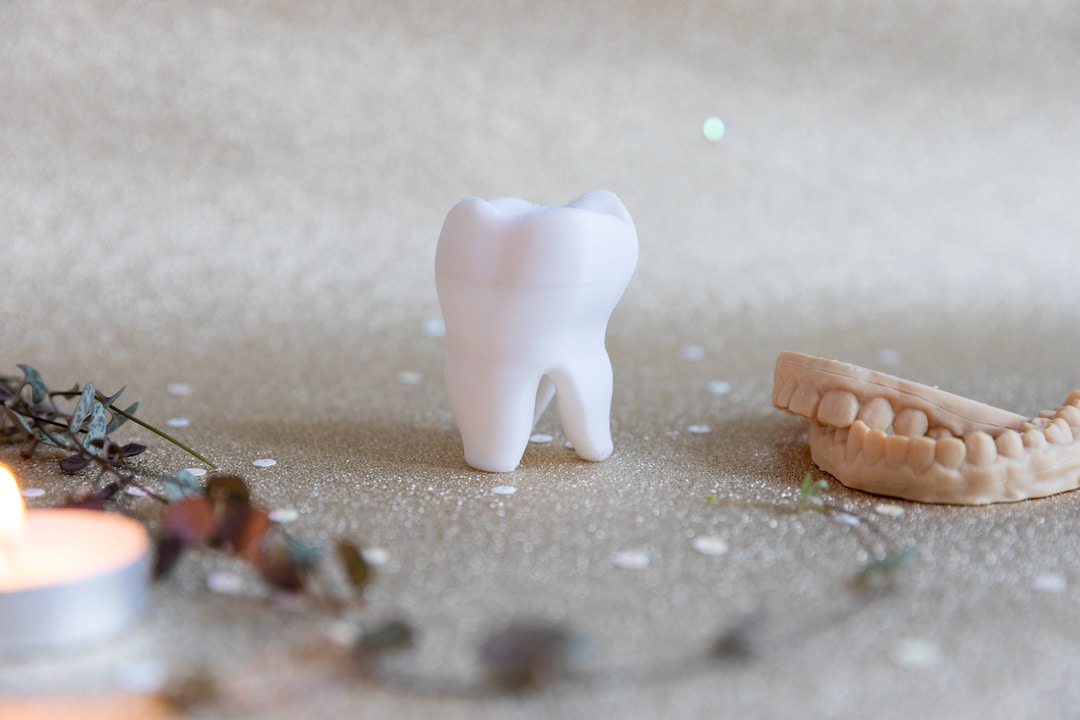 Small Tooth Box - Tooth Jewellery Box - Tooth Ring Dish - Dentist Gift ...