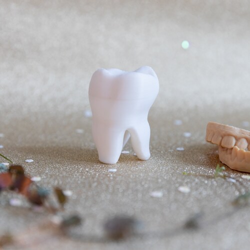 Small Tooth Box Tooth Jewellery Box Tooth Ring Dish - Etsy