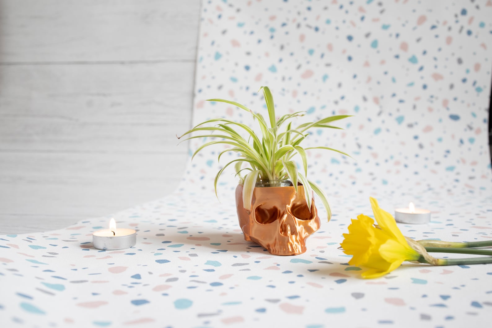 Medium Bronze Skull Plant Pot - Skull Planter - Human Skull Plant Pot ...