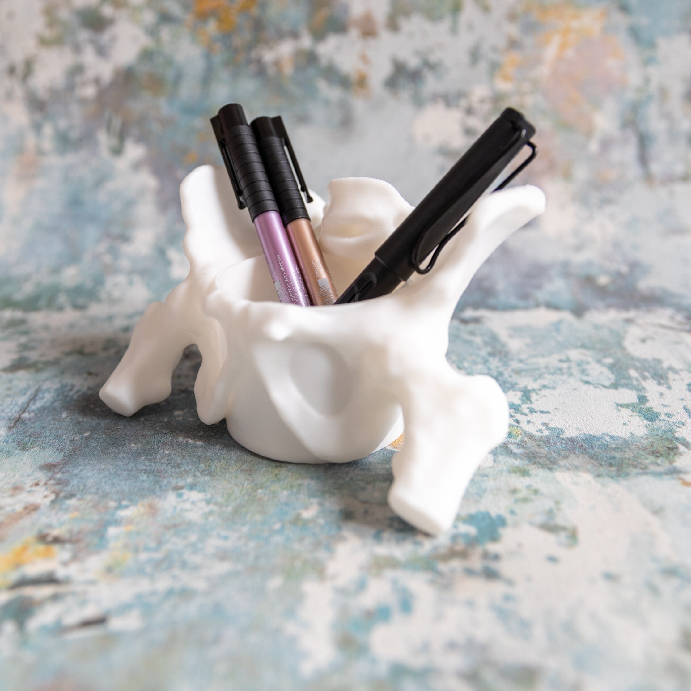 Hip Hip Hooray Pelvis Pot Human Bones Planter | Etsy