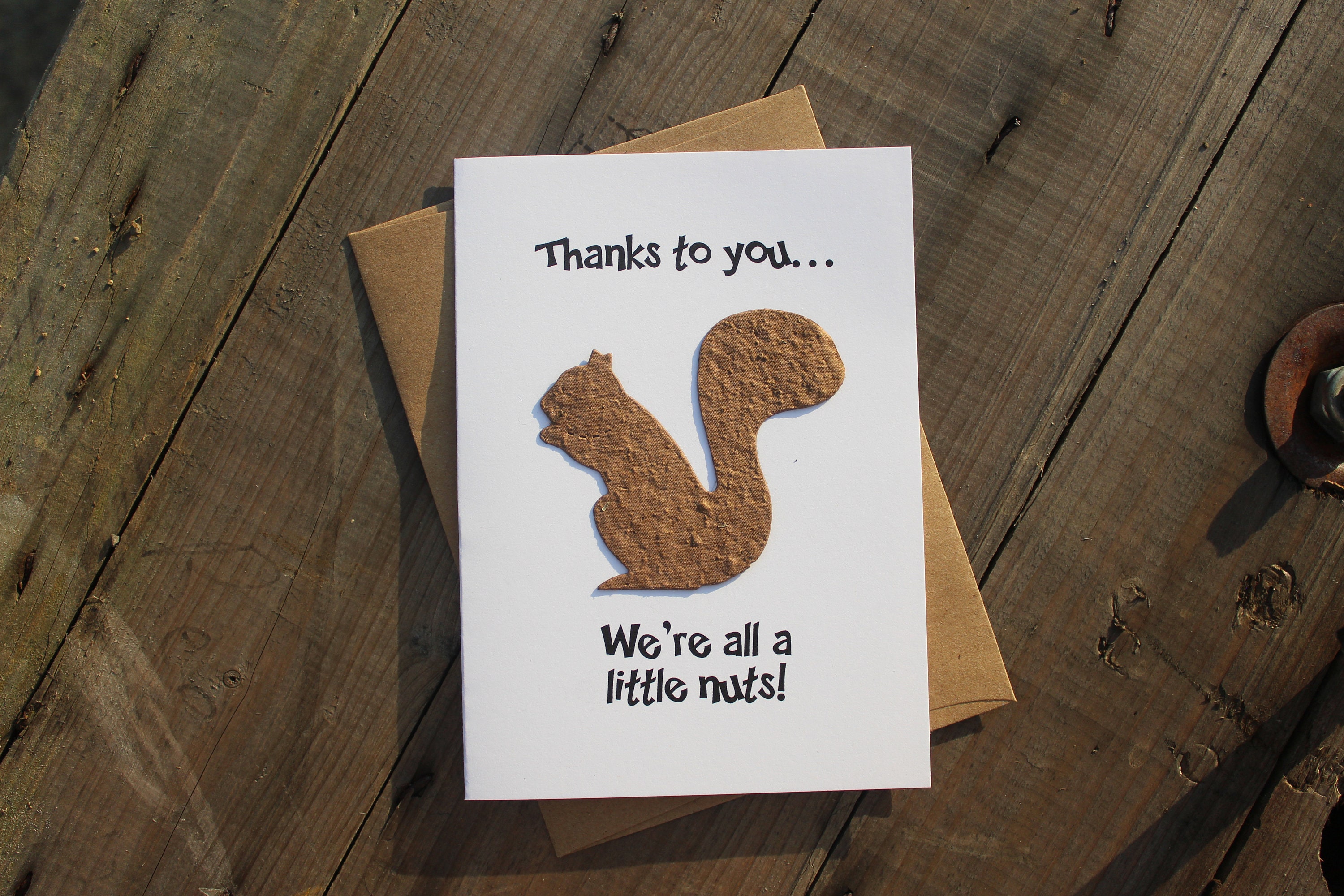 Thanks to you we're all a little nuts SQUIRREL seed | Etsy
