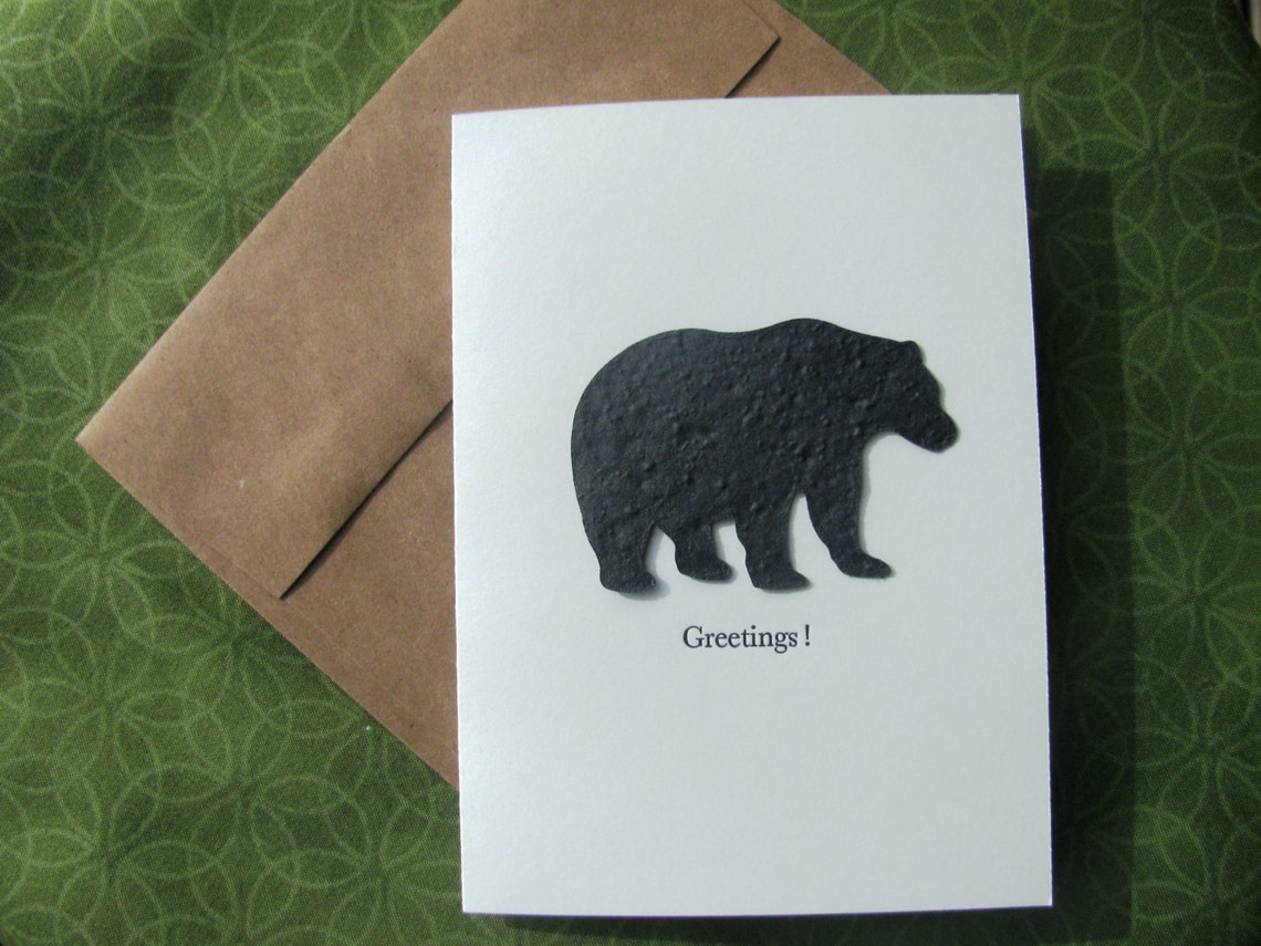Greetings Bear Seed Paper - Etsy