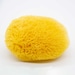 Sea Sponge-silk Facial Sponge-natural Sponge-soap Making Embeds-sponges ...