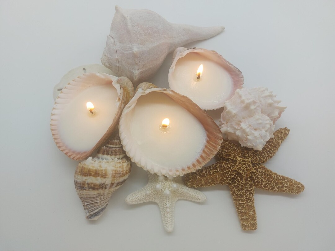 Handmade Seashell Soy Candles-beach Candles-ocean Shell Candles-beach ...