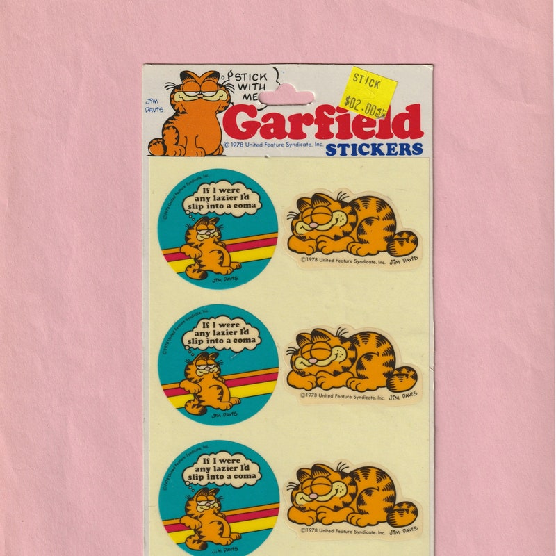 Garfield Party - Etsy