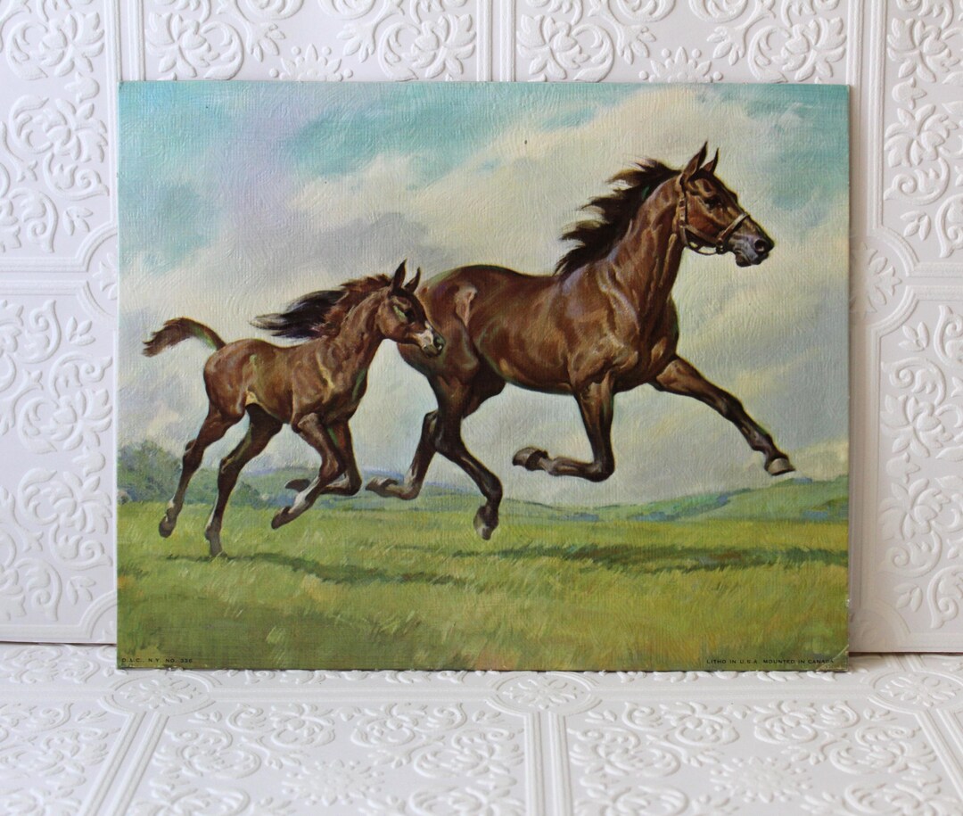 Vintage Elmore Brown Lithograph Horses Wall Art Winde Fine Prints Retro ...
