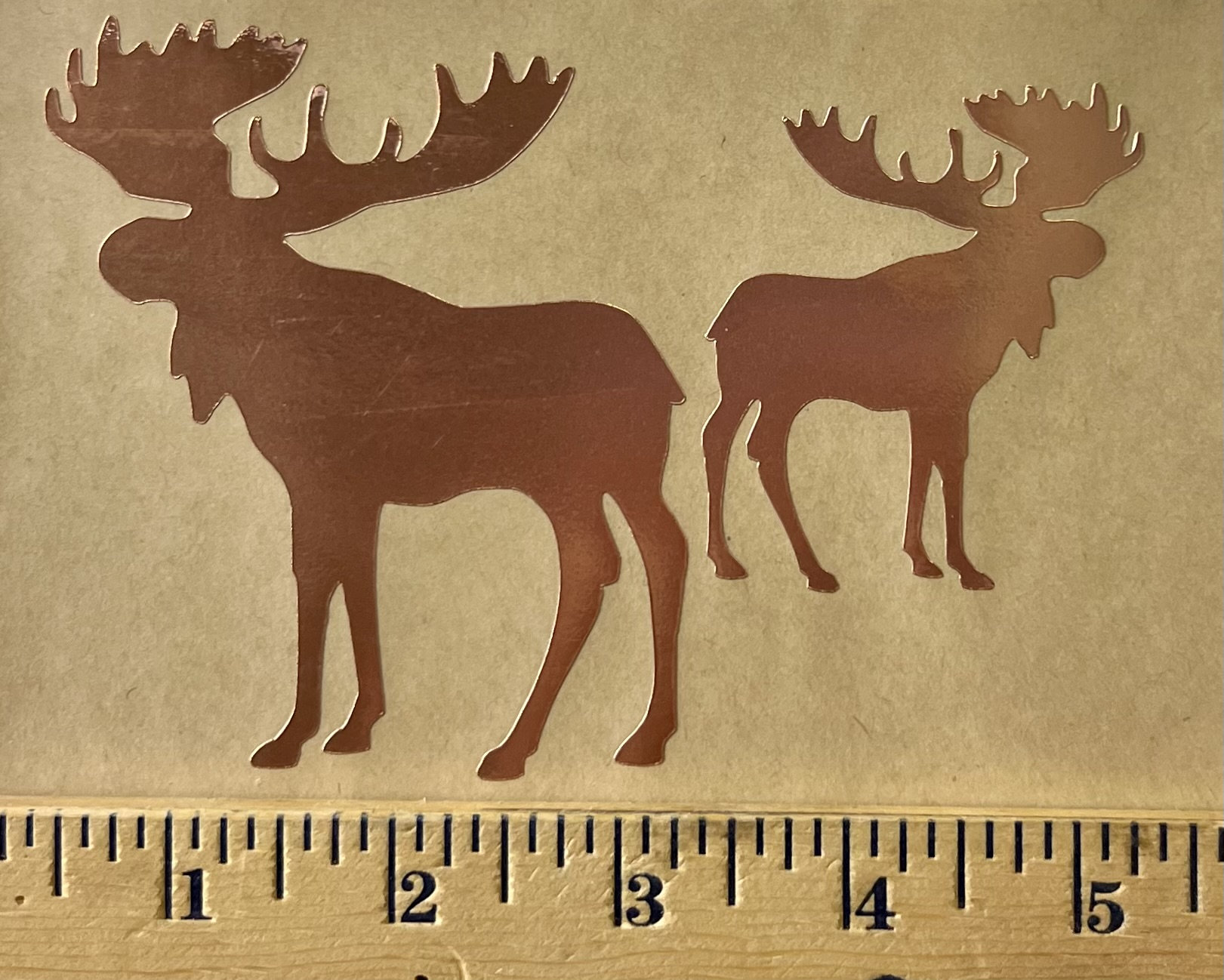 NEW! NEW! Two (2) Moose for the Price of One (1) - Copper Foil Overlay ...