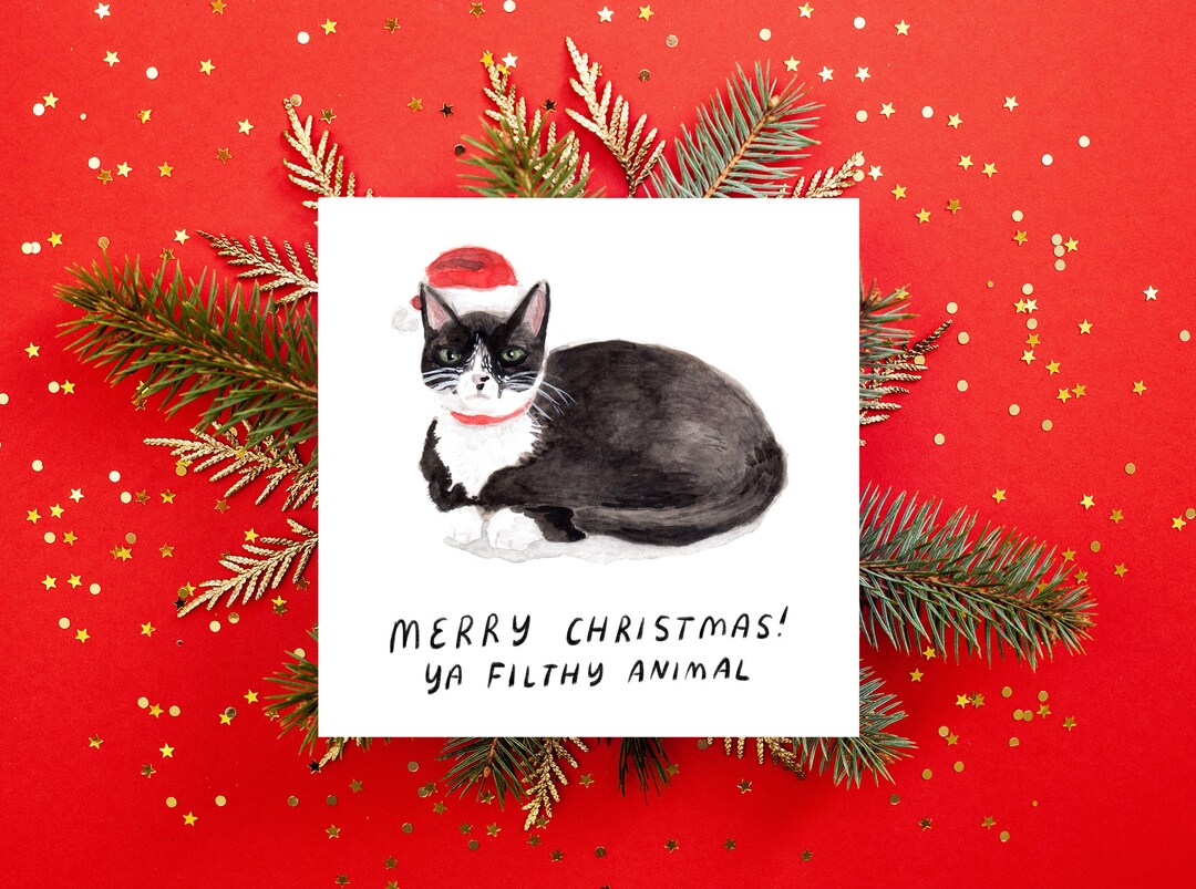 Grumpy Cat Christmas Card Merry Christmas Ya Filthy Animal - Etsy