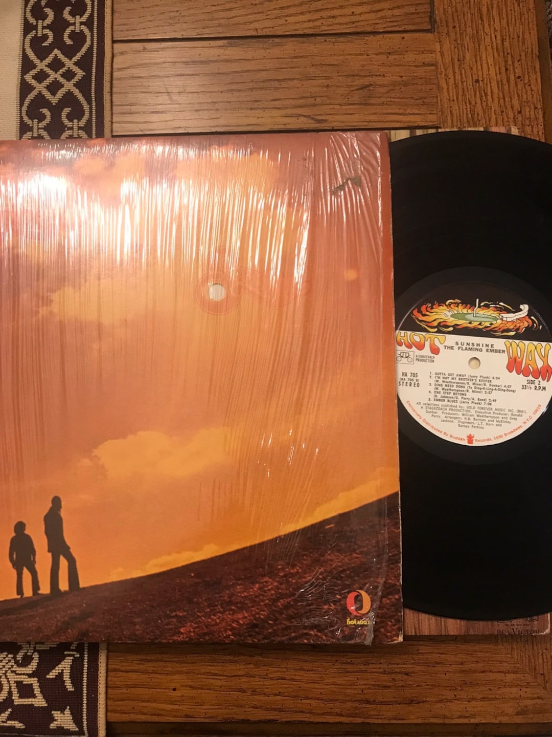 Flaming Ember Sunshine Vinyl LP Free Shipping in USA (B003) - Etsy