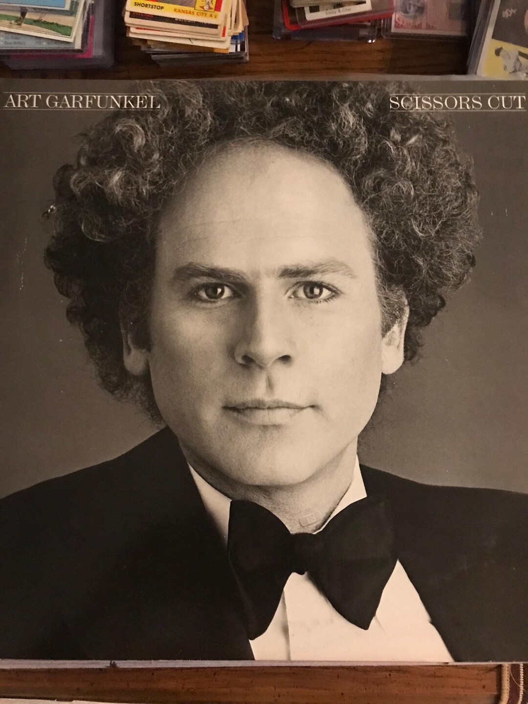 Art Garfunkel LP Scissors Cut Free Shipping in the USA (7-75) - Etsy