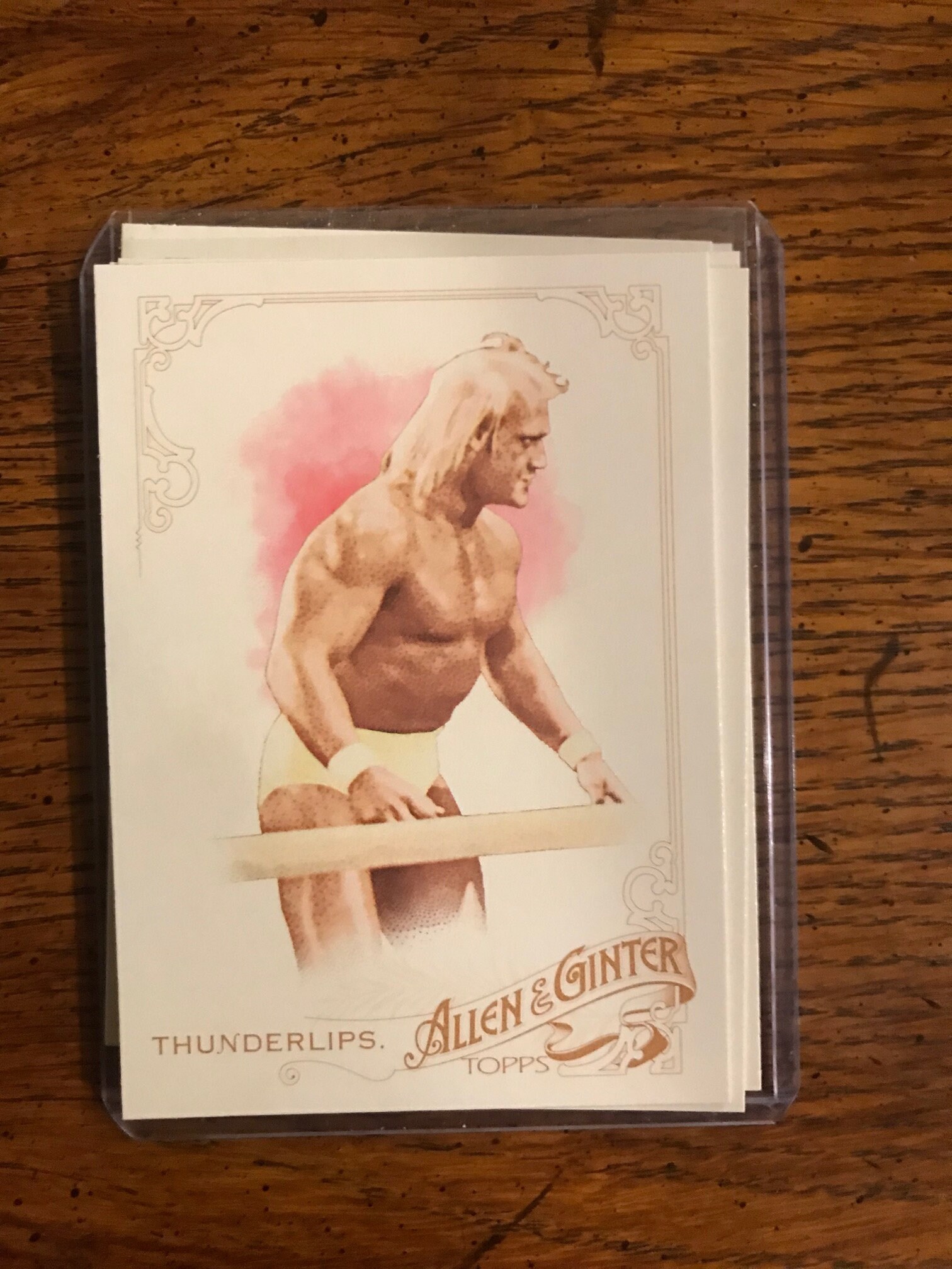 Hulk Hogan Thunderlips Allen & Ginter Card original Issue - Etsy
