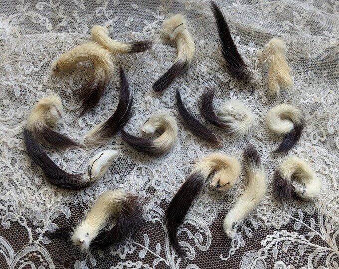 Antique Ermine Tails - Etsy
