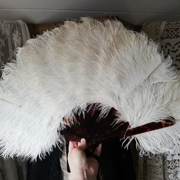 Feather Fan - Etsy