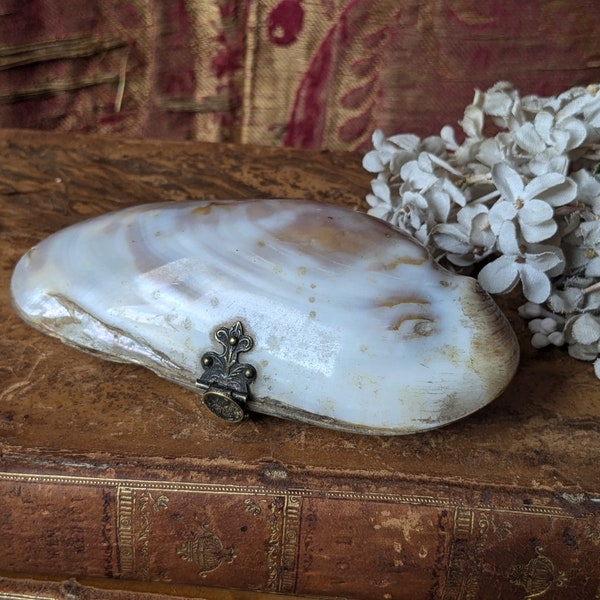 Antique Shell Purse - Etsy