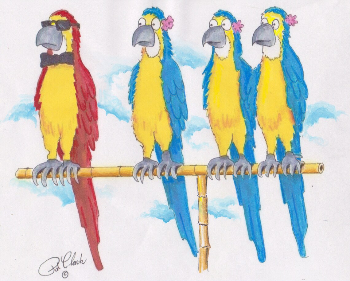 PARROT EVOLUTION - Etsy