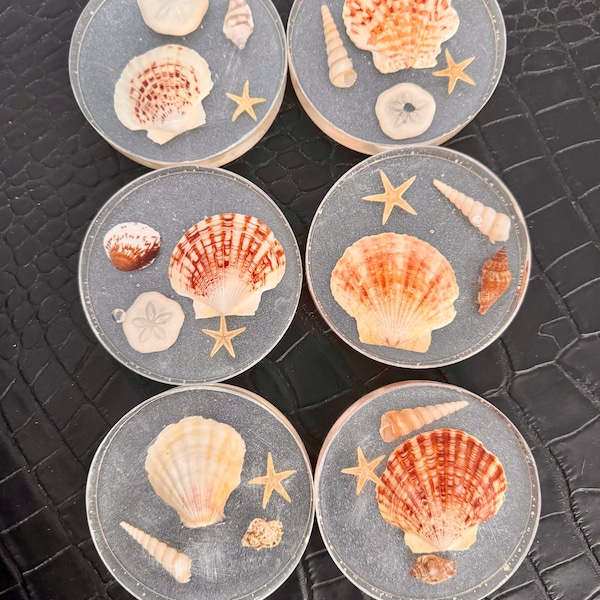 Sea Shell Coasters - Etsy
