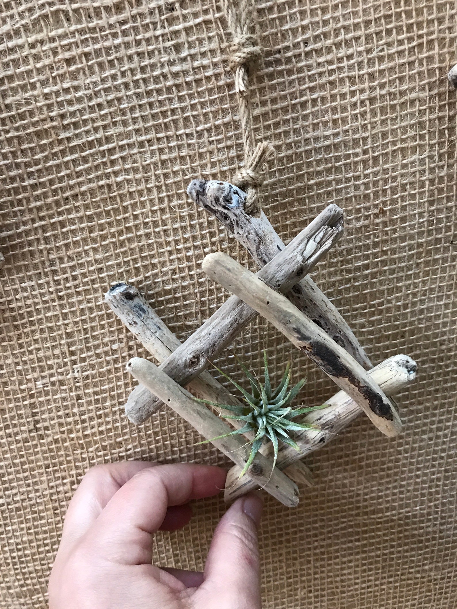 Driftwood Floating Shelf Shelves Wall Shadow Box Air Plant - Etsy